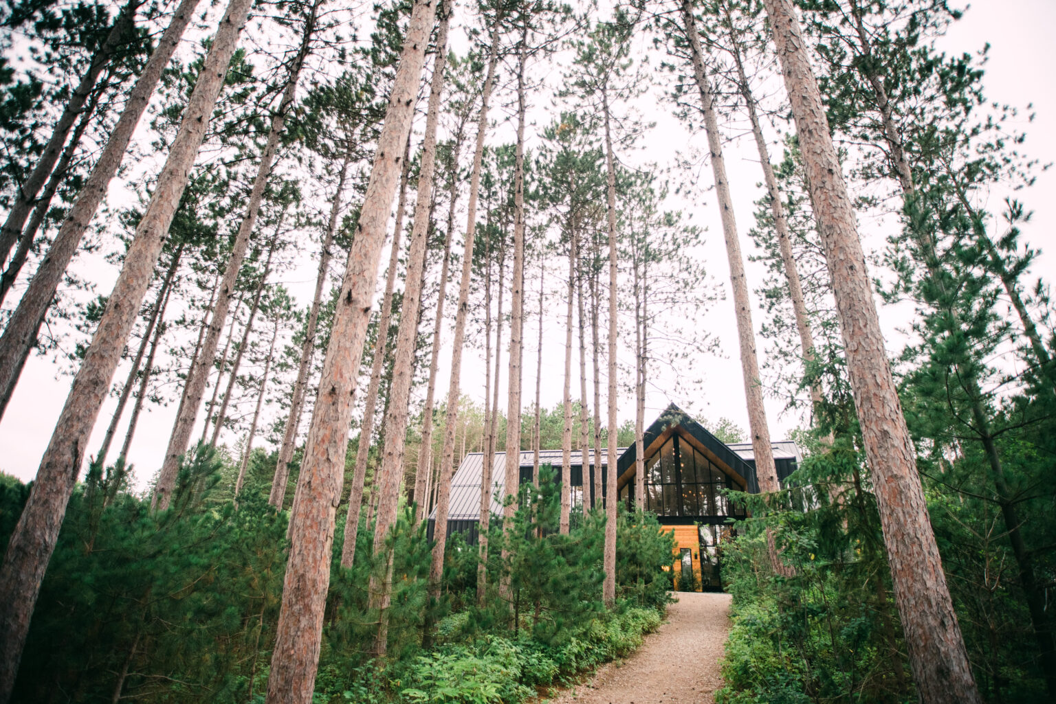 Pinewood Wedding | Alex + Maya - Hanna Marie Events